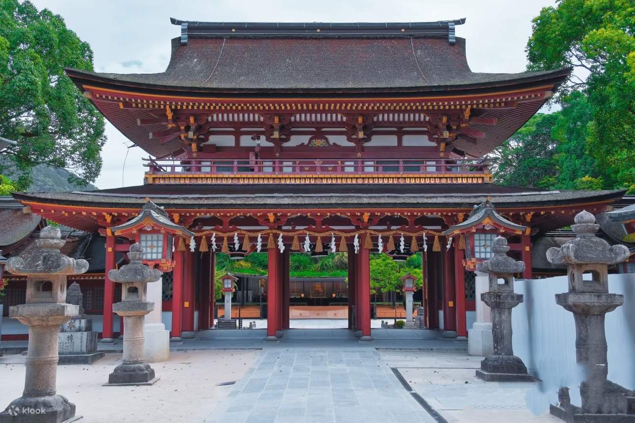 [Sakura Limited] Kyushu Saga Cherry Blossom Viewing Spots Day Tour ...